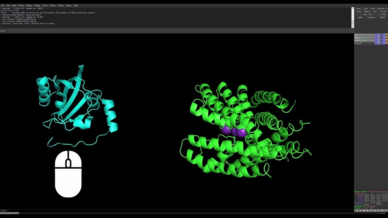 PyMOL Learning path #1 -   Introduction to PyMOL