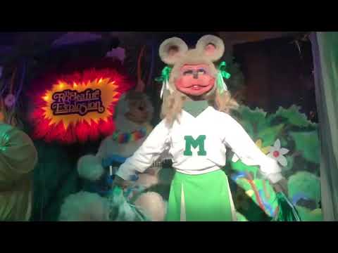 Billy Bobs Wonderland: The Name Game