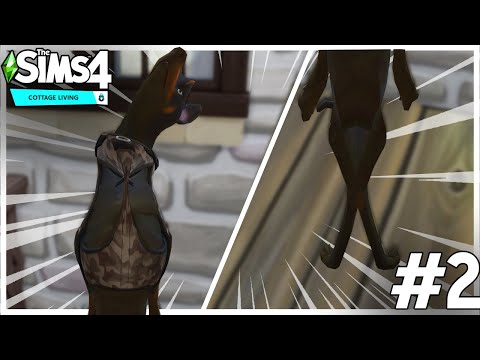 !NEW! The Sims 4 Cottage Living LP #2 - WEIRDEST DOG GLITCH EVER LMAOO π - Greener Grass β€π·|