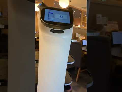 Cat server#Robot#Japan