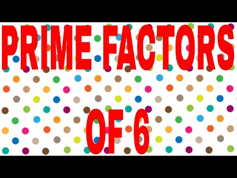 Prime factors of 6