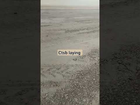 ctsb laying #viral #construction #highway#shorts