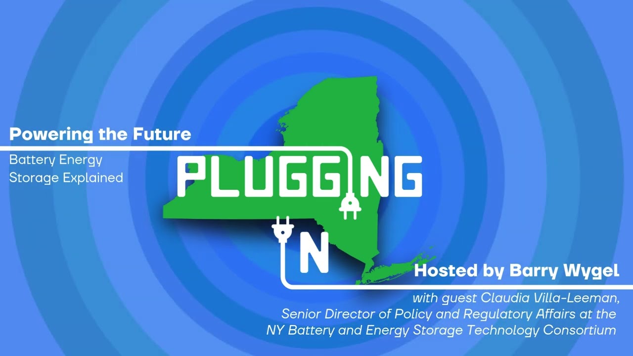 Powering the Future: Battery Energy Storage Explained