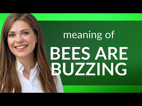 Buzzing About English: Understanding "Bees are Buzzing"