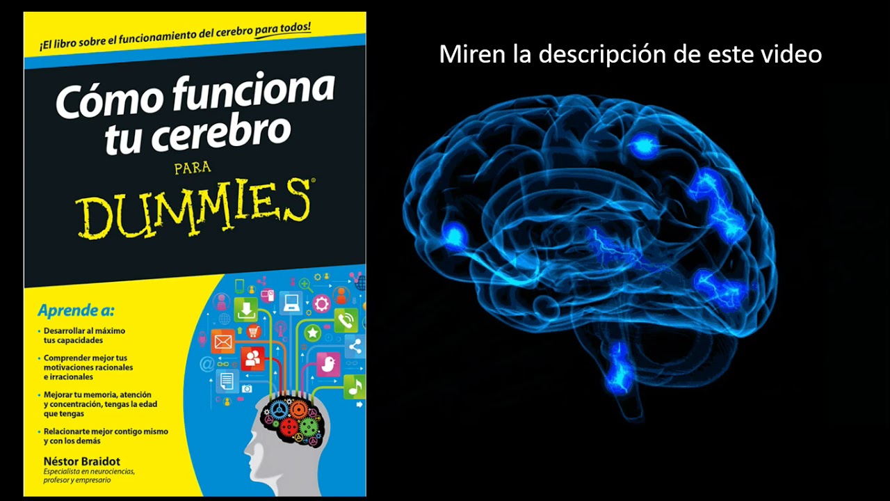 Cómo funciona tu cerebro para dummies pdf