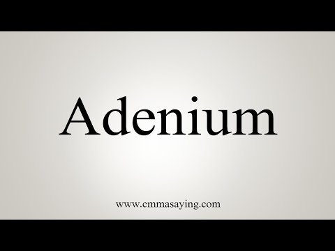 How To Say Adenium