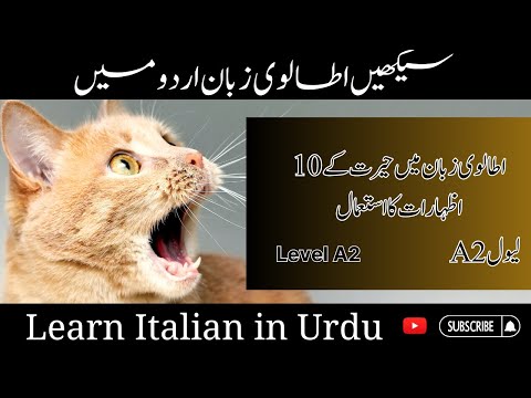 10 Italian Expressions Of Surprise And Disbelief | Learn Italian in Urdu | Improve Italian
