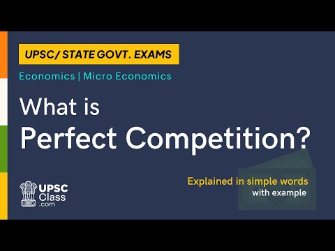 What is Perfect Competition?