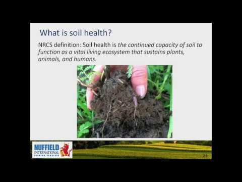Regenerative Agriculture: "The Next Green Revolution” by Brian Dougherty, Iowa State Extension