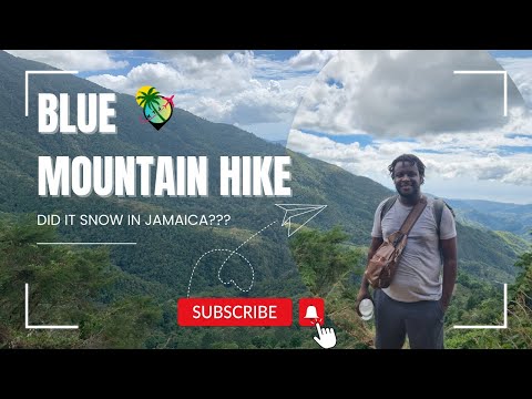 Into the Clouds: The Ultimate Blue Mountain Adventure! | Snow in Jamaica? | Kev Travels Ja.