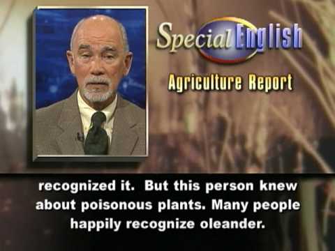 Watching Out for 'Wicked Plants'