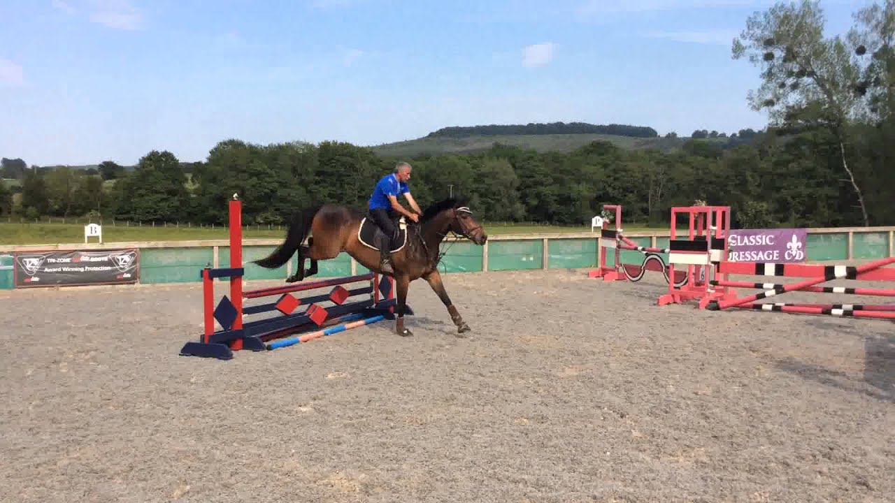 Romeo: One stride into a two strides double