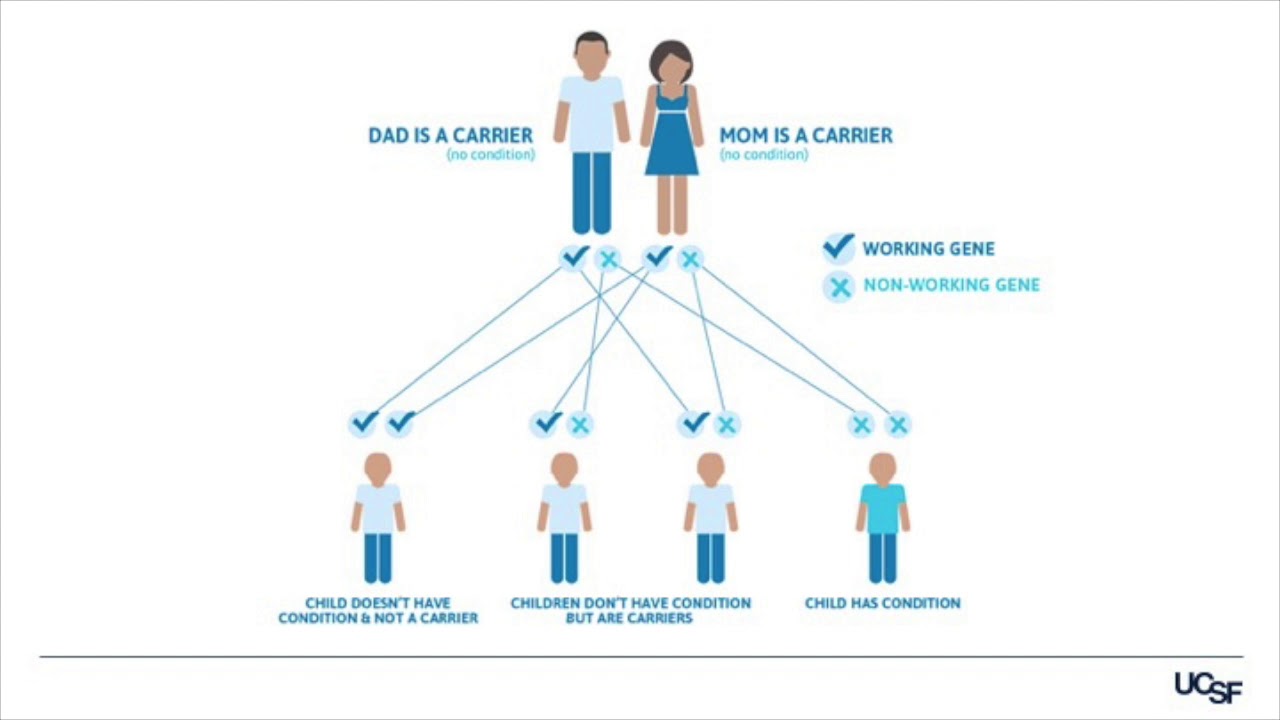 “Direct-to-Consumer Genetic Testing” by Jamie Fong, MS, LCGC, at the MAC Research Education Event
