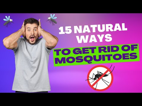 15 Natural Ways to Get Rid of Mosquitoes in Your Yard