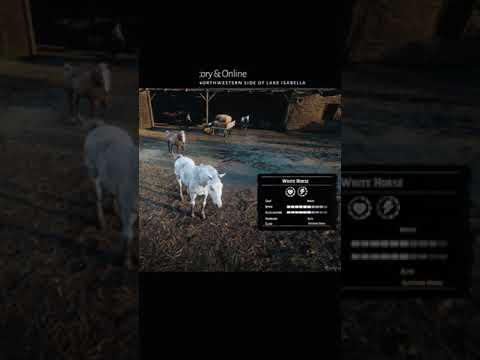 Steam Community :: Video :: RDR2 • All Arabian Horse Colors and ...