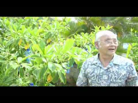 Senior Qi Gong Program with Master Hong Liu - Part 2