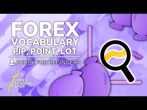 Forex Trading for beginners - Vocabulary [Pip, Point, Lot]