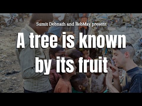 A Tree Is Known By Its Fruit | A Tree Is Known By Its Fruit Idea