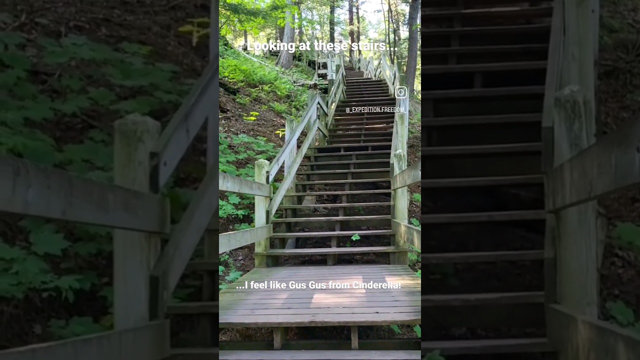 Feeling like Gus Gus from Cinderella with these stairs!