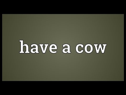 Have a cow Meaning