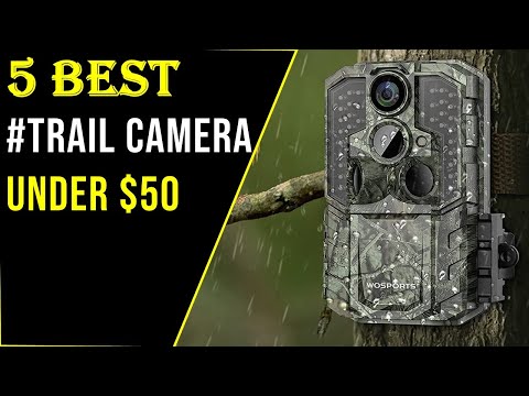 ✅Best Trail Cameras Under $50 In 2023-[Ultimate Guide] Best Trail Cameras For Every Budget