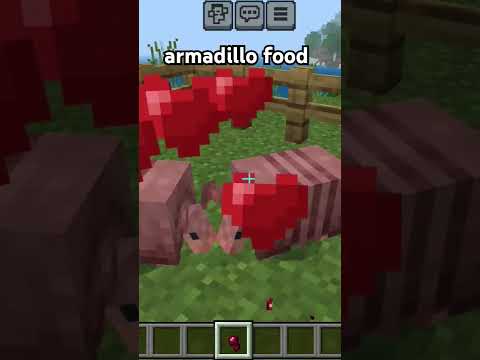 How to feed and breed armadillos #minecraft #xbox #gaming 🕷