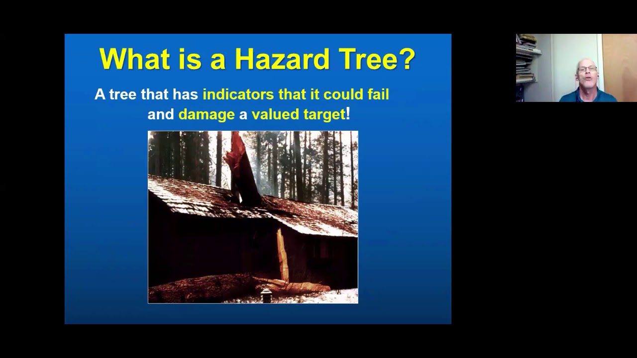 PART 1: Identifying, Assessing, and Managing Hazard Trees