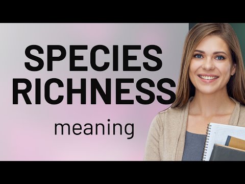 Unlocking the Secrets of Biodiversity: Understanding Species Richness