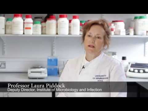 Fluoroquinolone resistance in bacteria