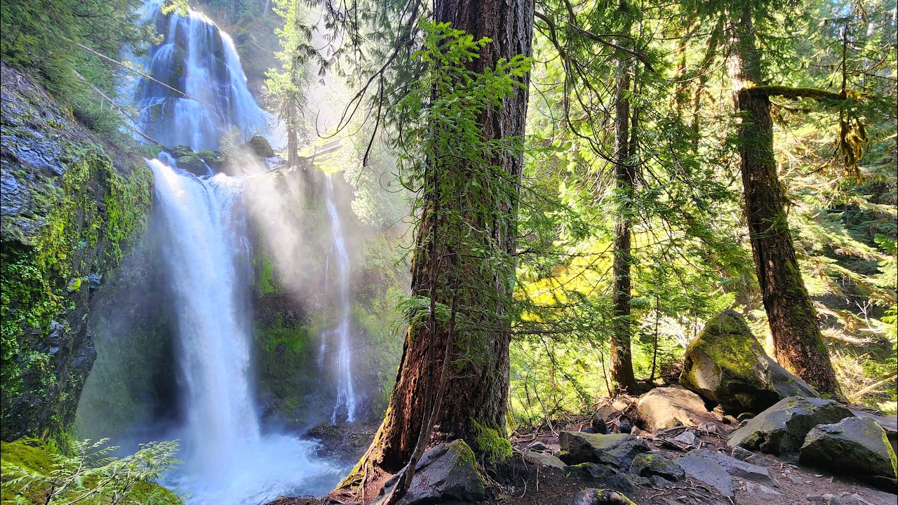 Falls Creek Falls & Panther Creek Falls