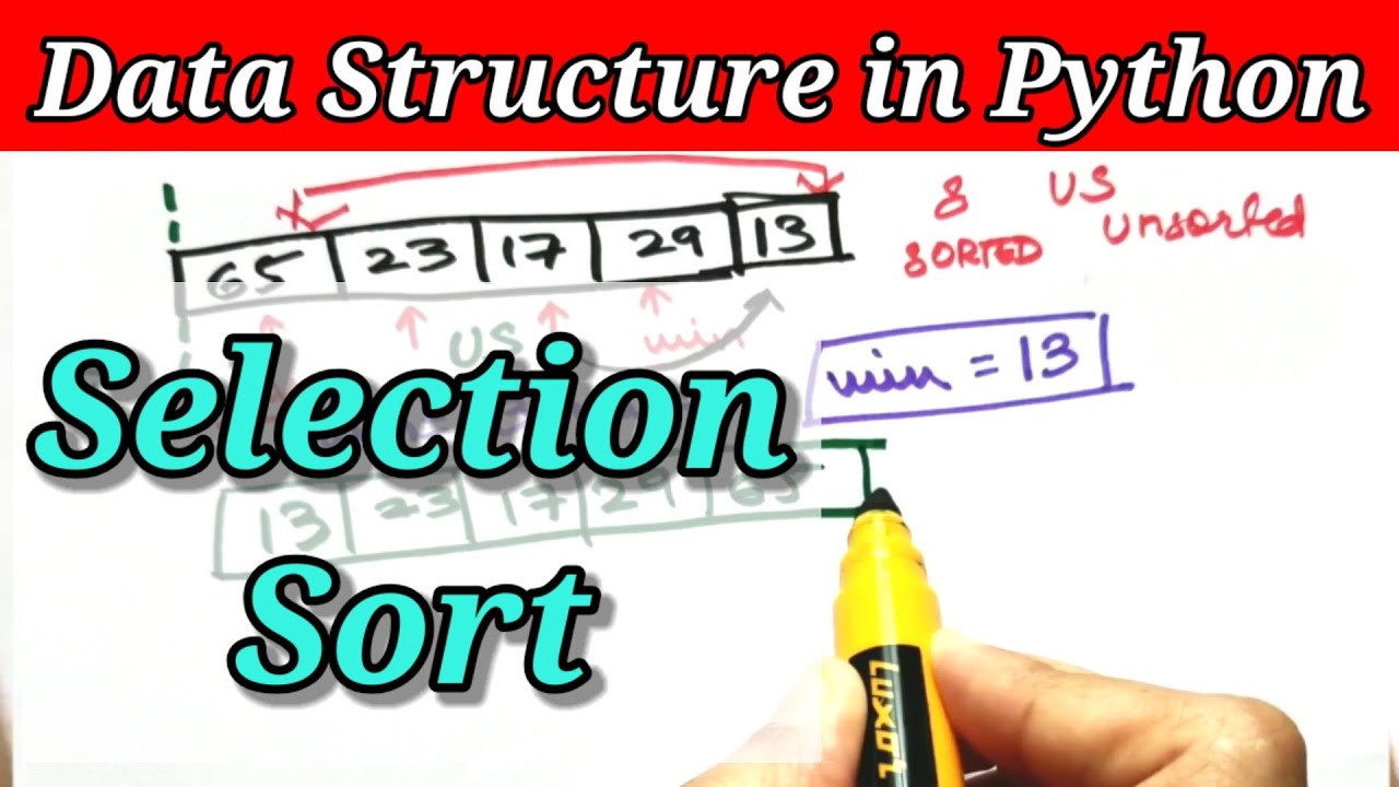 Selection Sort in Python | Selection Sort Algorithm | Python Tutorials