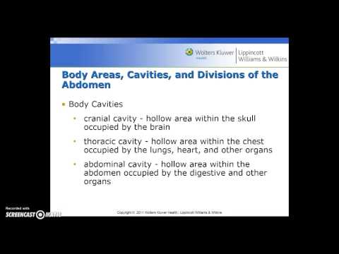 Medical Terminology - Chapter 3 - Live Lecture, Part 1