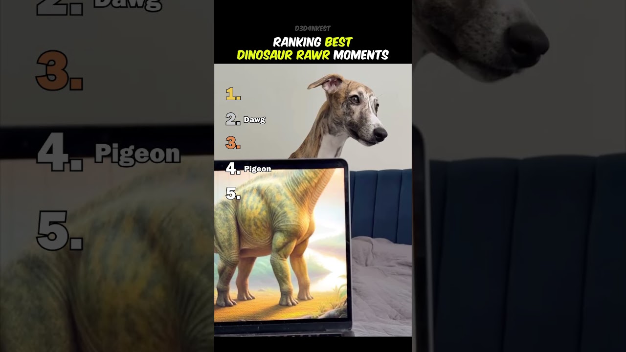 Ranking Best Dinosaur Rawr Moments