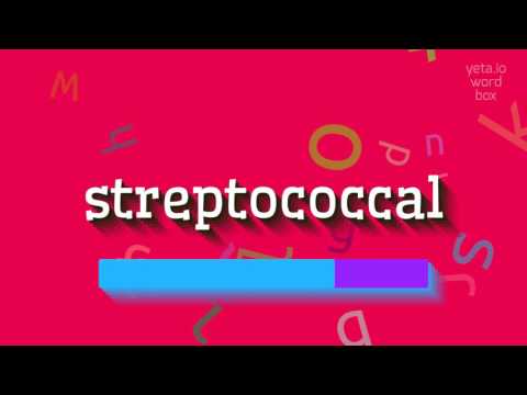 How to say "streptococcal"! (High Quality Voices)