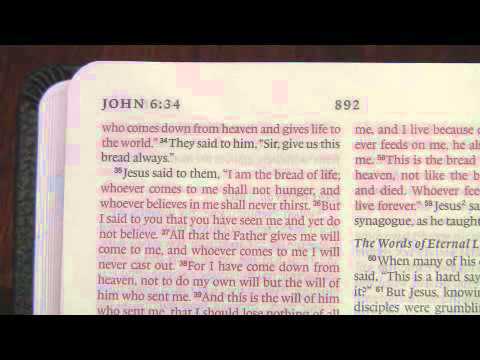 The Gospel of John, Chapter 6 (ESV)
