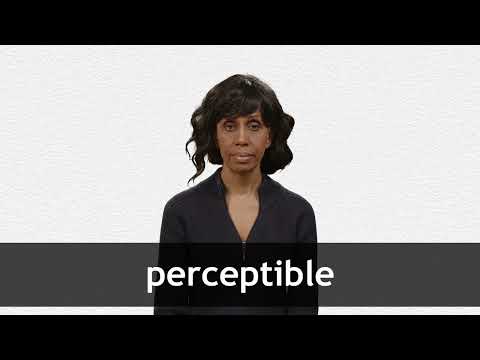 How to pronounce PERCEPTIBLE in American English