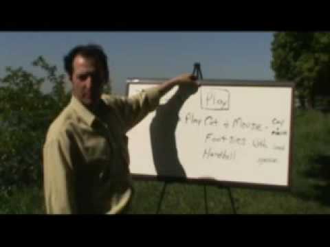 Idioms using Play - "Cat and Mouse, Footsies, Hardball"