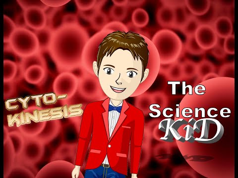 CYTOKINESIS- The Science KID