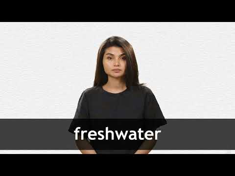 FRESHWATER definition and meaning | Collins English Dictionary