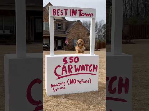 The smartest dog on the planet! 😅