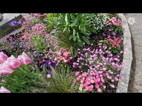 Geneva Parc Bastion Walk Tour