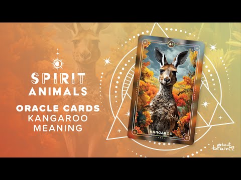 Kangaroo Spirit Animal | Symbolism & Meaning Explained