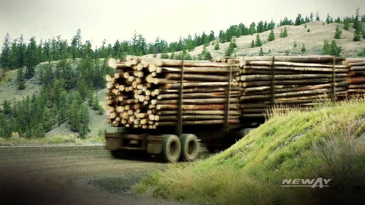 Neway ADZ - More Stable