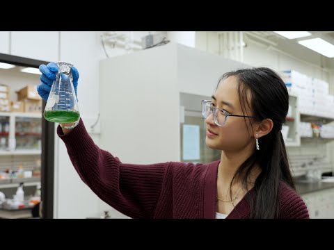Research and Innovation Grants (RIG) at the University of Rochester