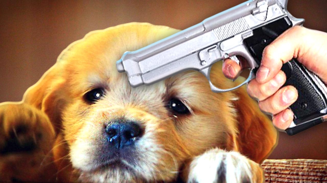 click 2 save the puppies
