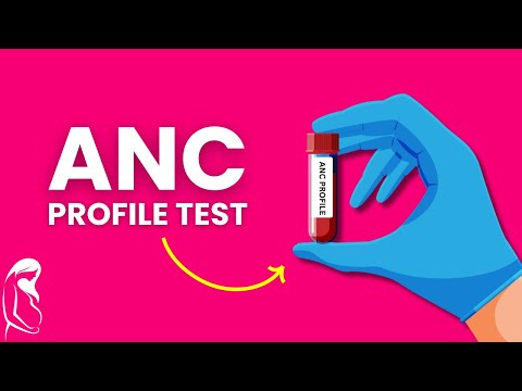 ANC Profile Test in Pregnancy - What is it? How it's done?