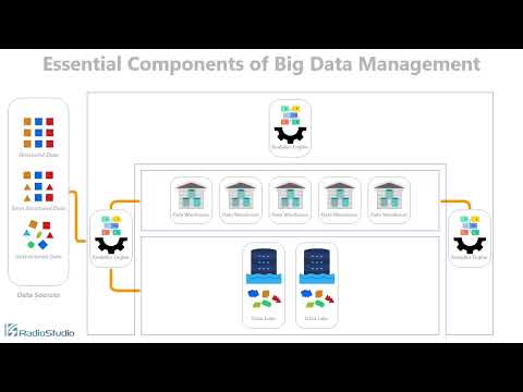 Essential Components of Big Data Management