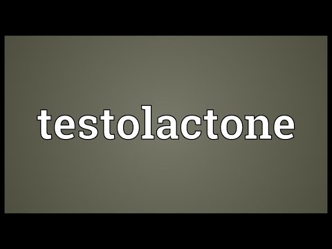 Testolactone Meaning
