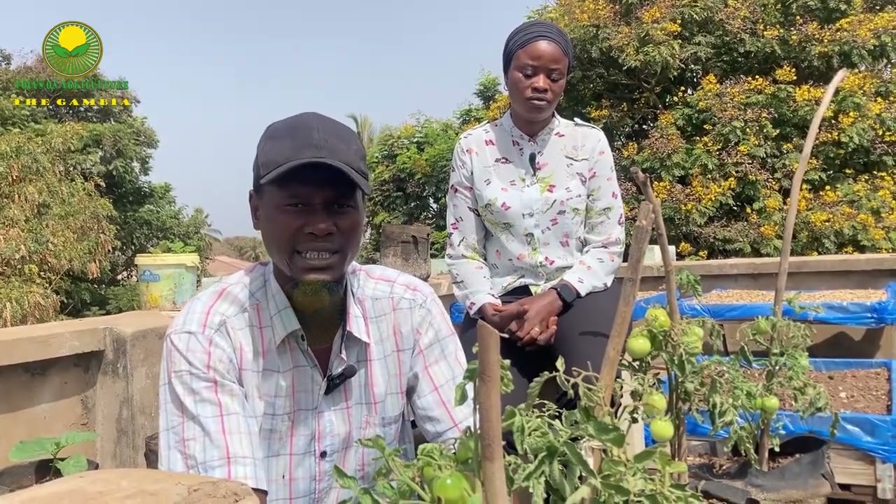Hydroponic Farming | Modern Agriculture for the Future 