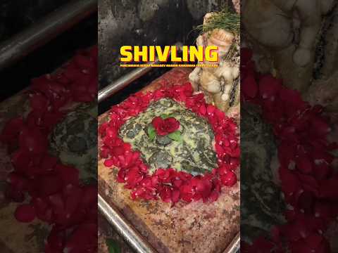 "Shivling Panchmukhi Budha Mahadev Mandir: Kawardha, Chhattisgarh". 🕉️🔱 #shivling #kawardha